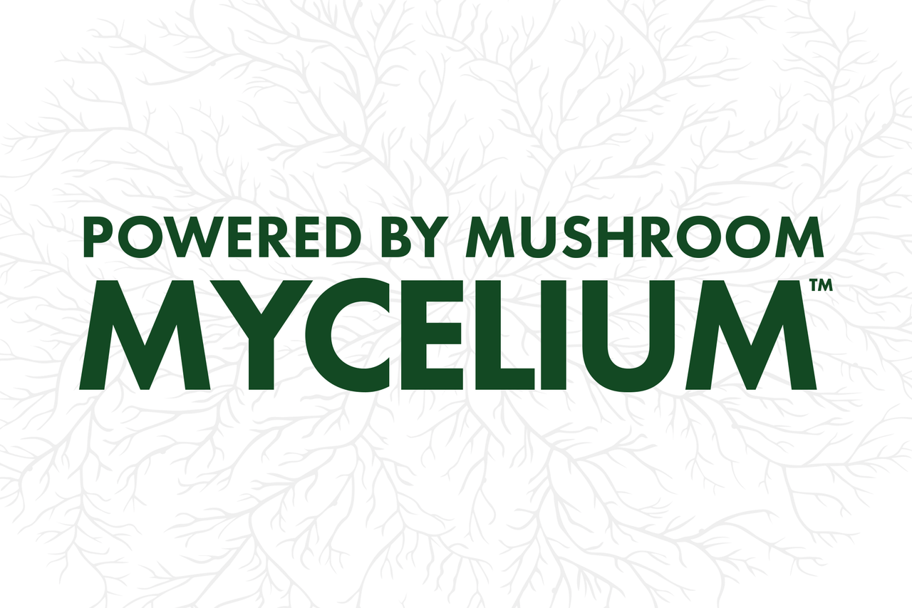 The Truth About Mushroom Mycelium [Science Behind the Superfood]