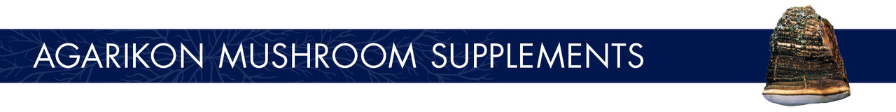 Agarikon Supplements for Immune Support