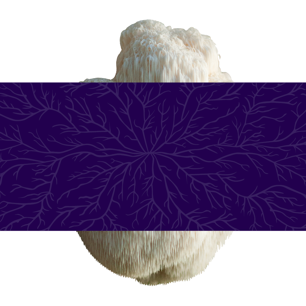 Welcome to Host Defense® Mushrooms