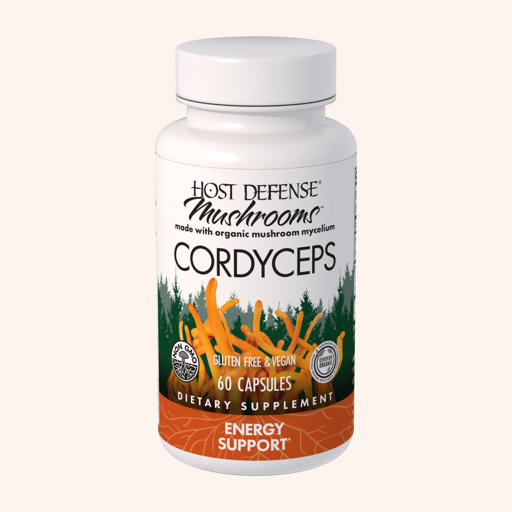 Cordyceps Capsules