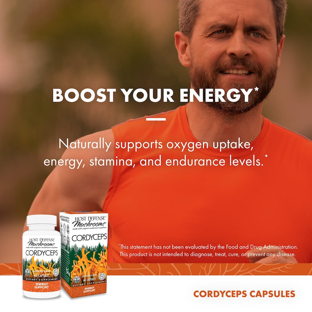 Cordyceps Capsules