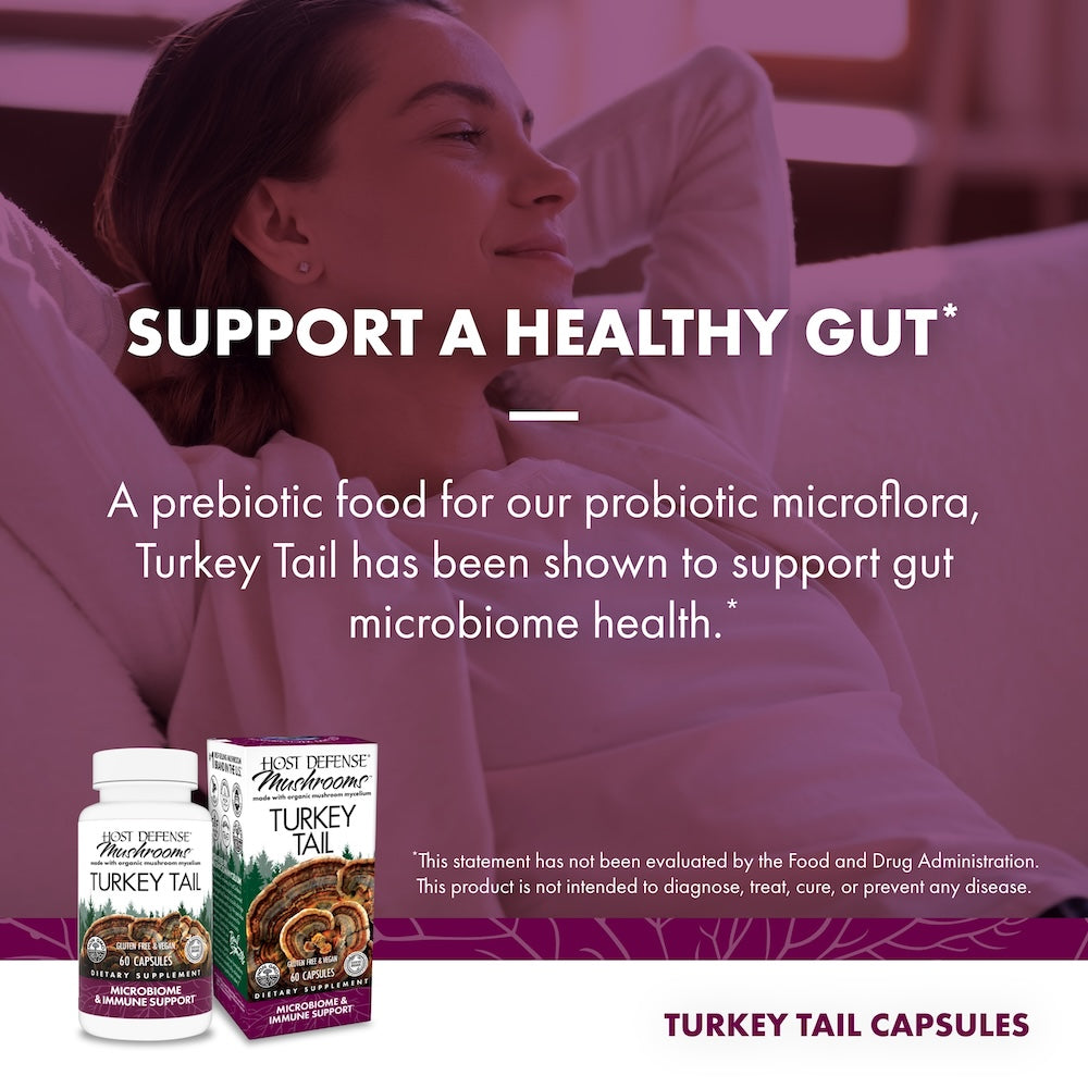 Turkey Tail Capsules