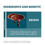 Reishi Powder